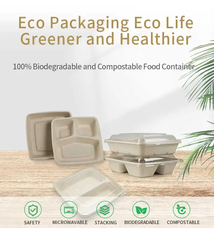 Biodegradable Food Packaging - Sustainable & Eco-friendly