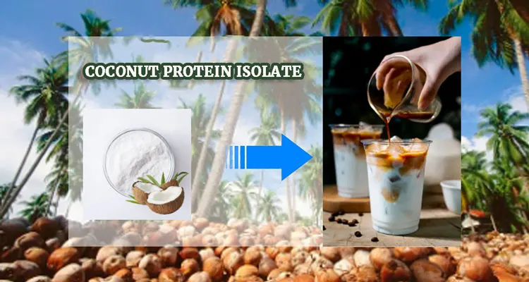 Zero Sugar Low Fat Coconut Nutrition Plant-Based Protein Powder Coconut ...