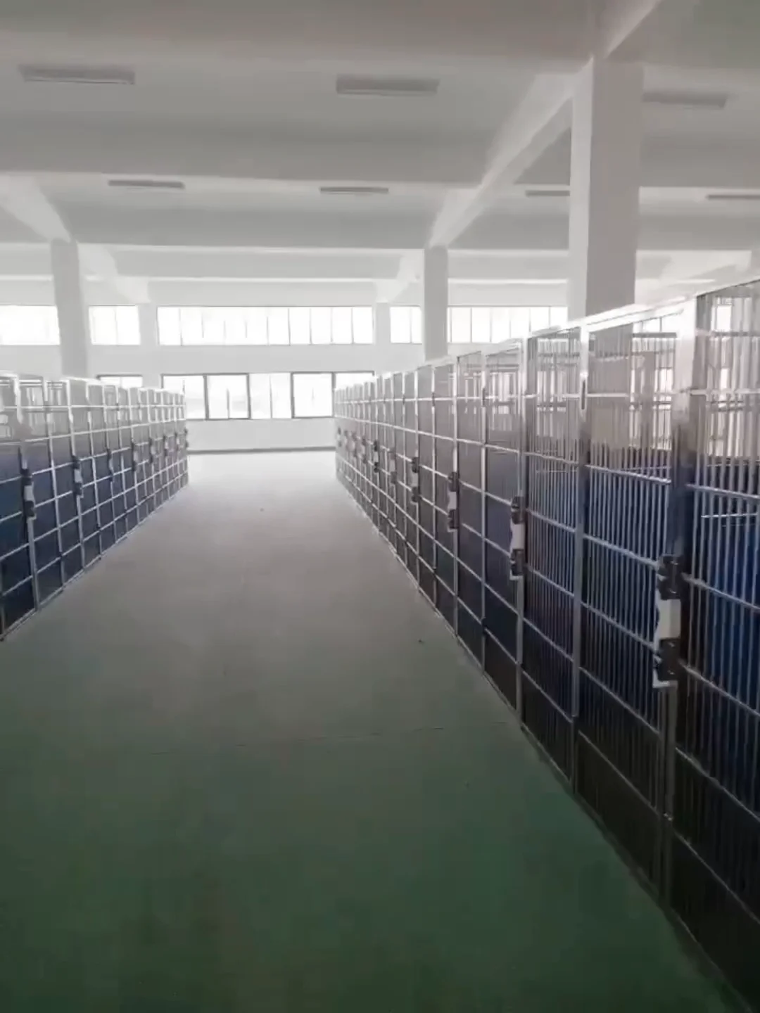 Factory Customizable Veterinary Stainless Steel Indoor Dog Kennels With ...