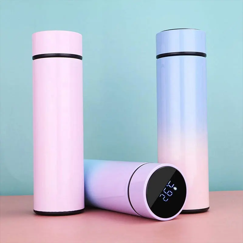 Smart Water Bottle with LED Temperature Display