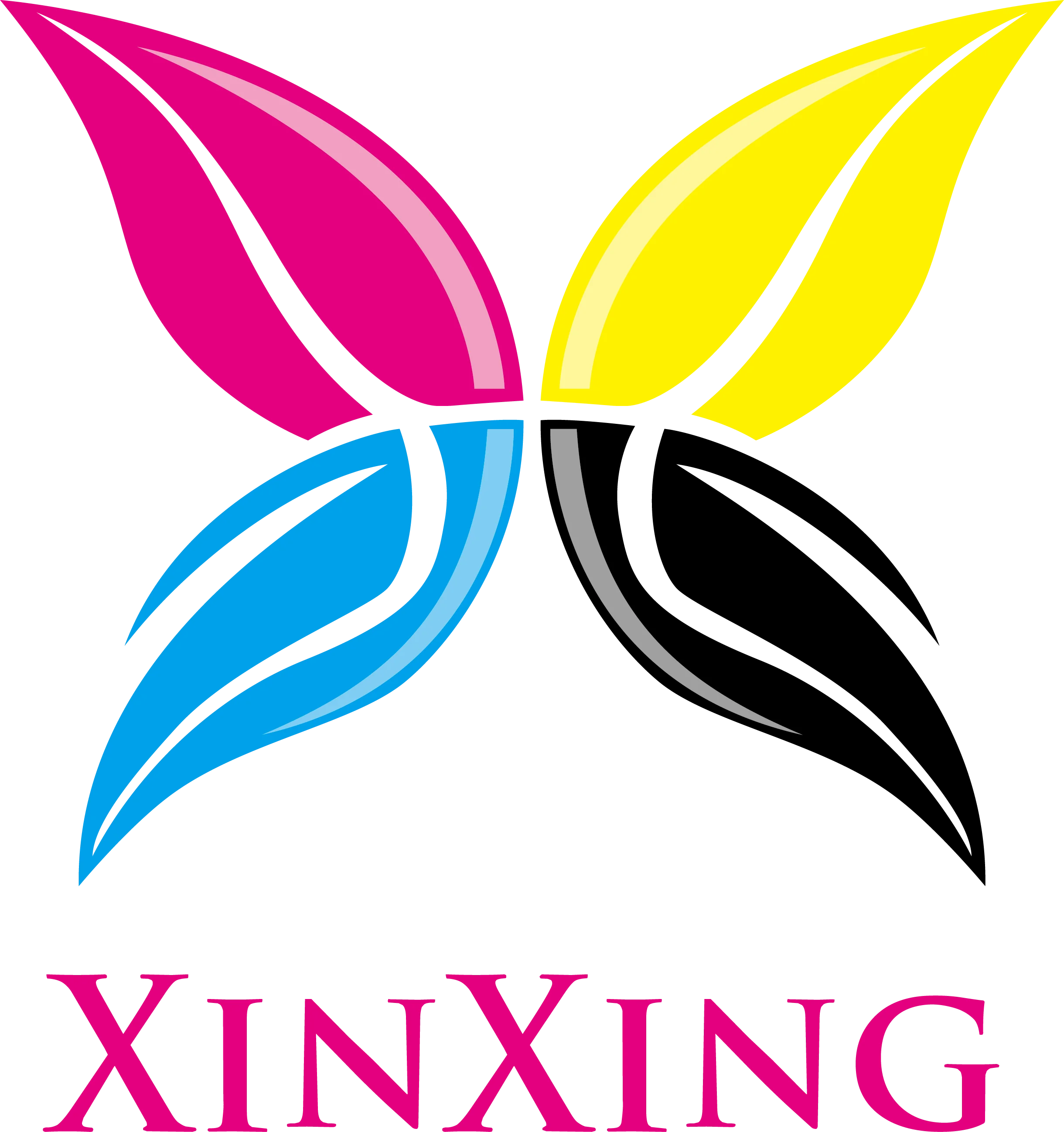 Company Overview - XINXING COMPANY LIMITED