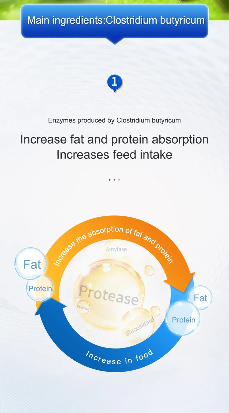 Verified China Feed Additives Broiler Growth Promoters Special ...