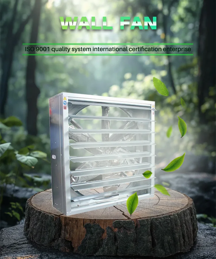 Cow Cooling Fan Wall Type Negative Pressure Fans Industrial Exhaust Ventilator Poultry ...
