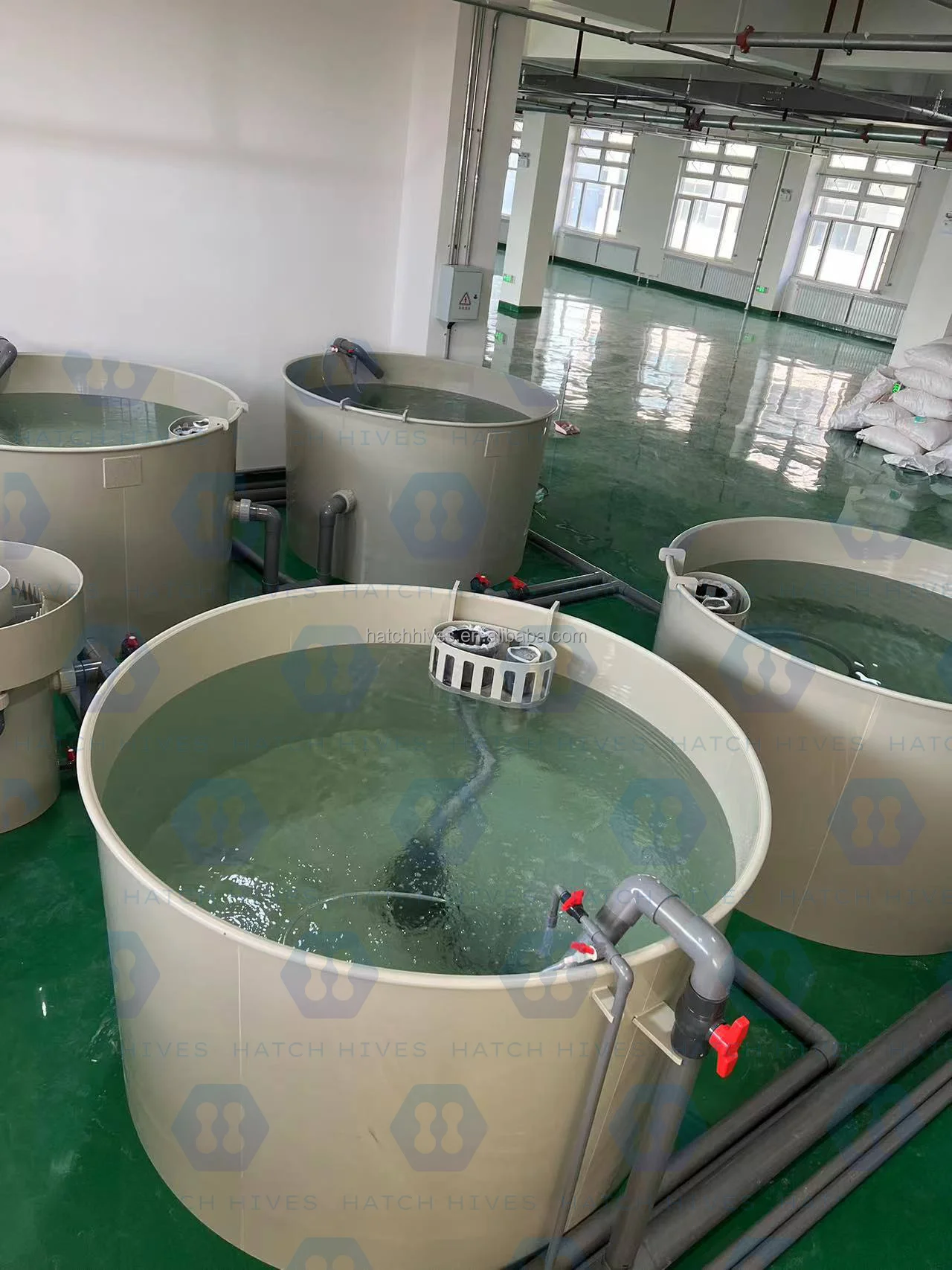 High Efficiency RAS Shrimp System for Indoor Aquatics