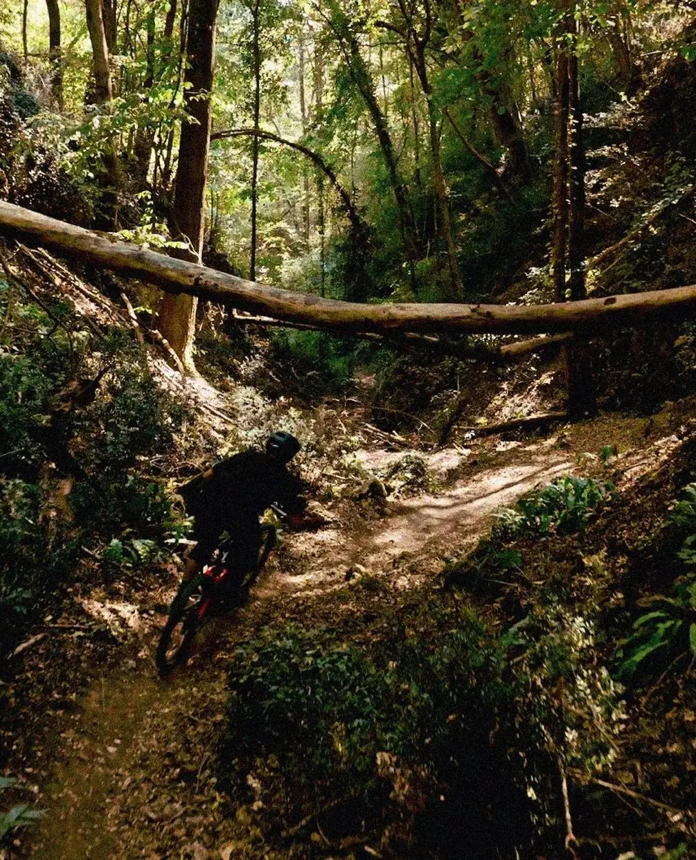 Java Sabbia 29'' 27.5inches Full Suspension Mountain Bike 12 Speed ...