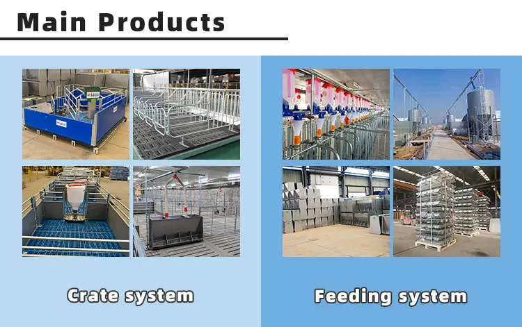 Pig Farm Epc Project Floor Plan Design Modern Pig Farm Intelligent Pig ...
