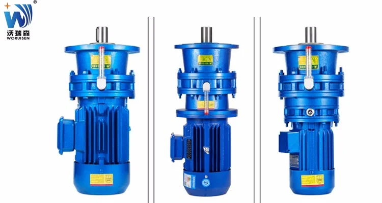 Woruisen Vertical Cycloidal Pinwheel Reducer - Various Speed Ratios