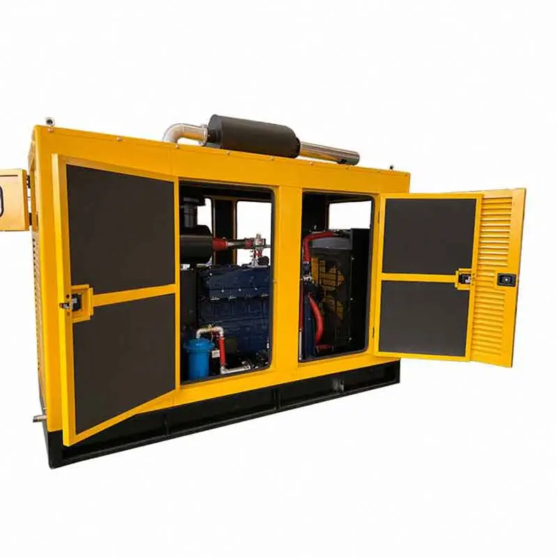 250kw Farm Animal Waste Biogas Generator Power Plant/ Biomass Generator ...