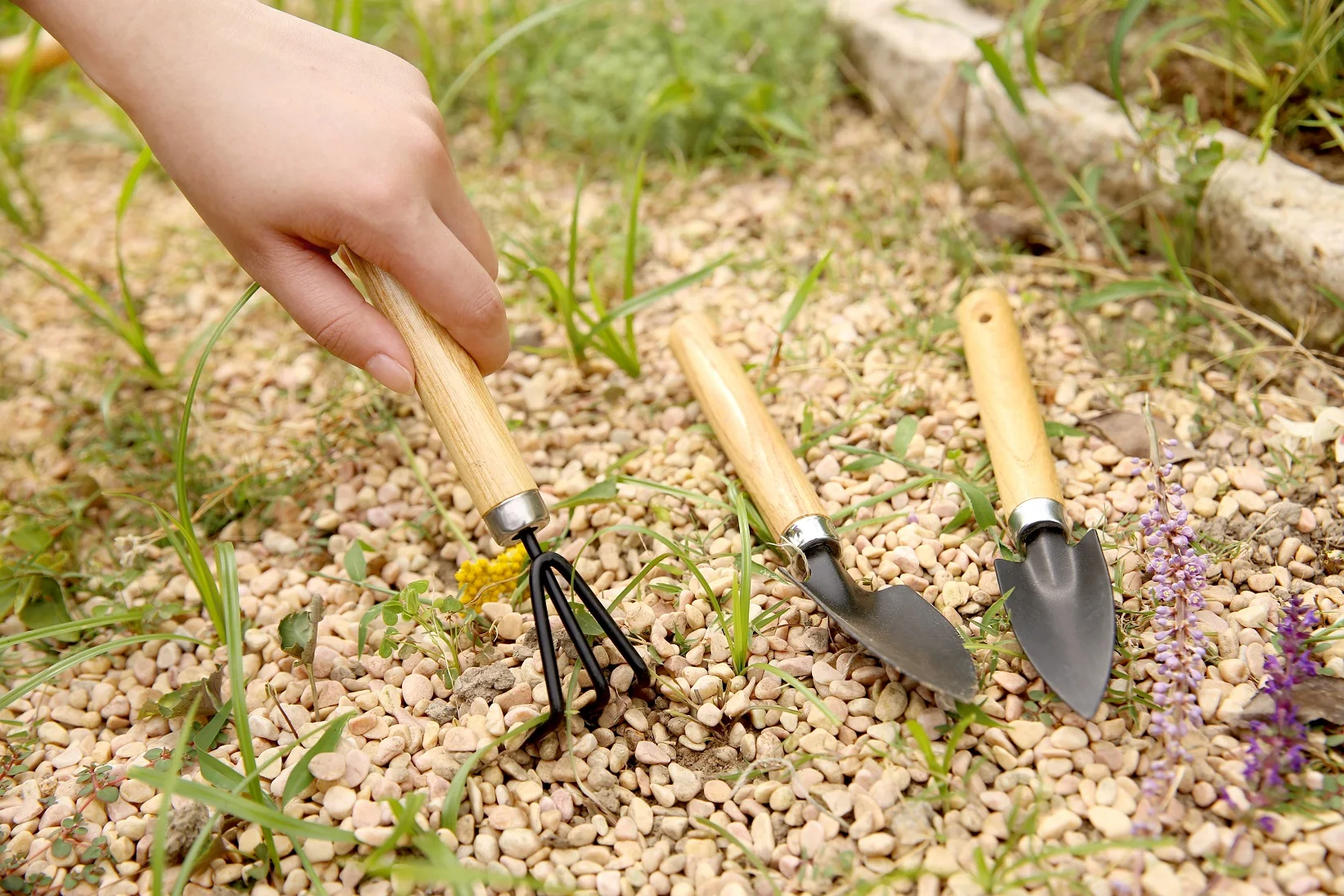 3pcs Small Potted Bonsai Using Light Weight Mini Gardening Hand Tool ...