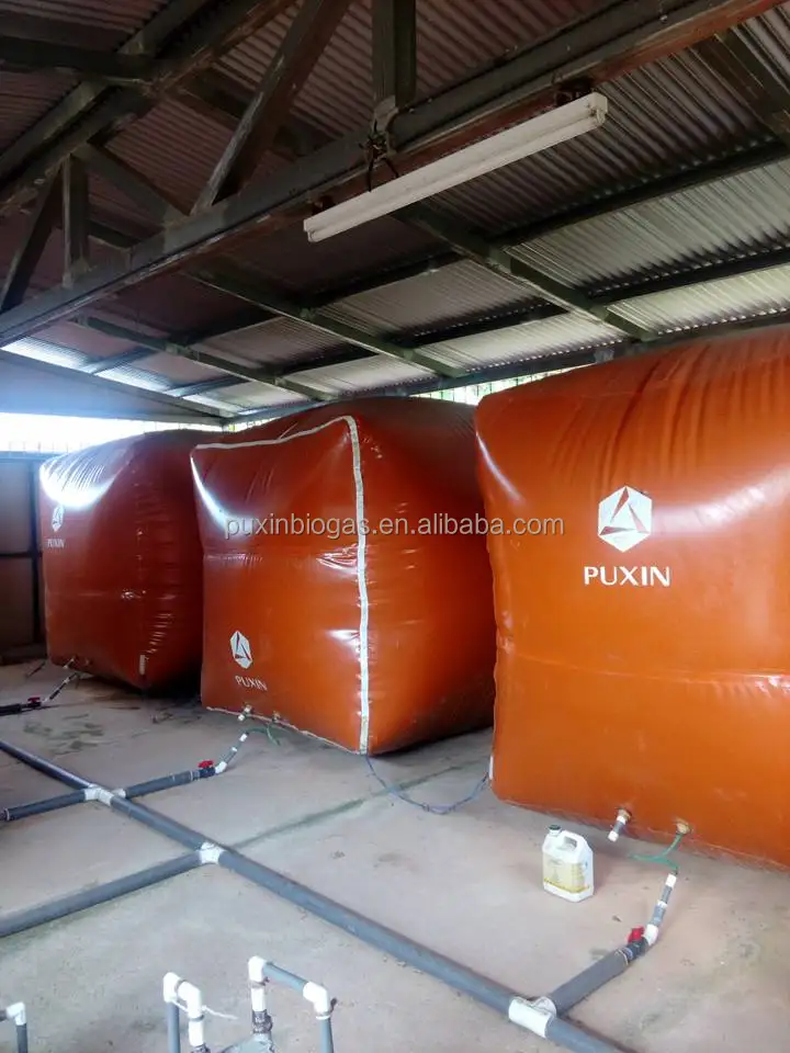 Puxin 10m3 Biogas Storage Bag Tank for Sale - Durable & Safe