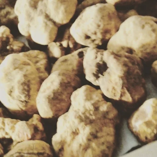Italian White Truffles - Best Quality from Alba or Basilicata