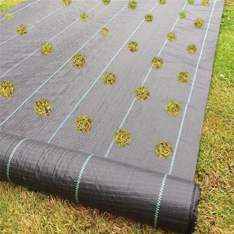 Plastic Mulch Film Woven Woven Ground Cover Garden Landscaping Fabric ...