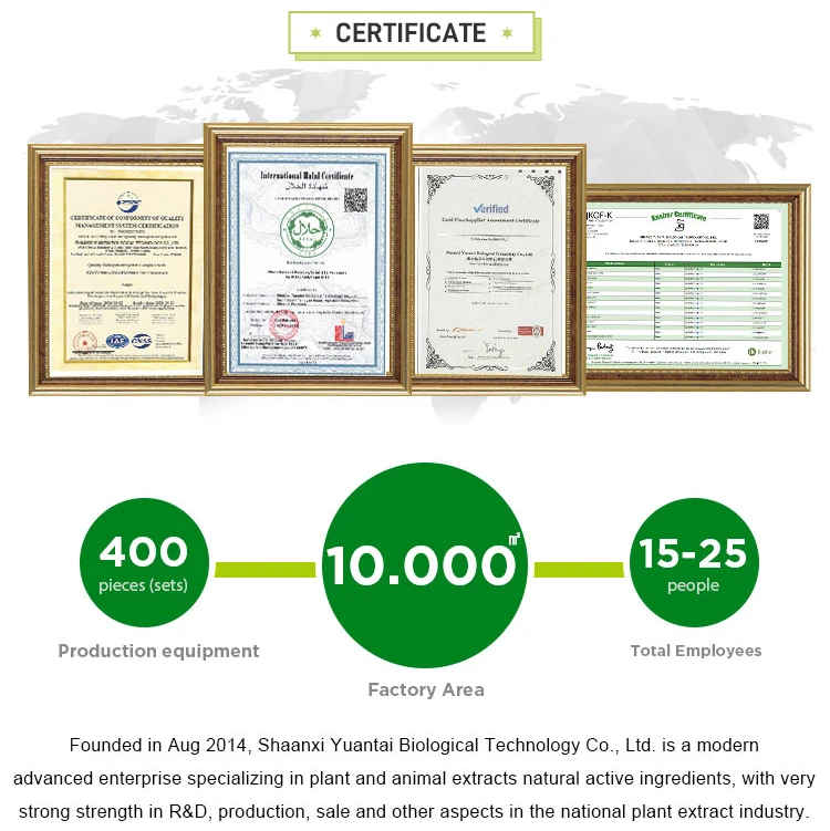 Amla Extract Indian Gooseberry Phyllanthus Emblica Extract Amla Fruit ...