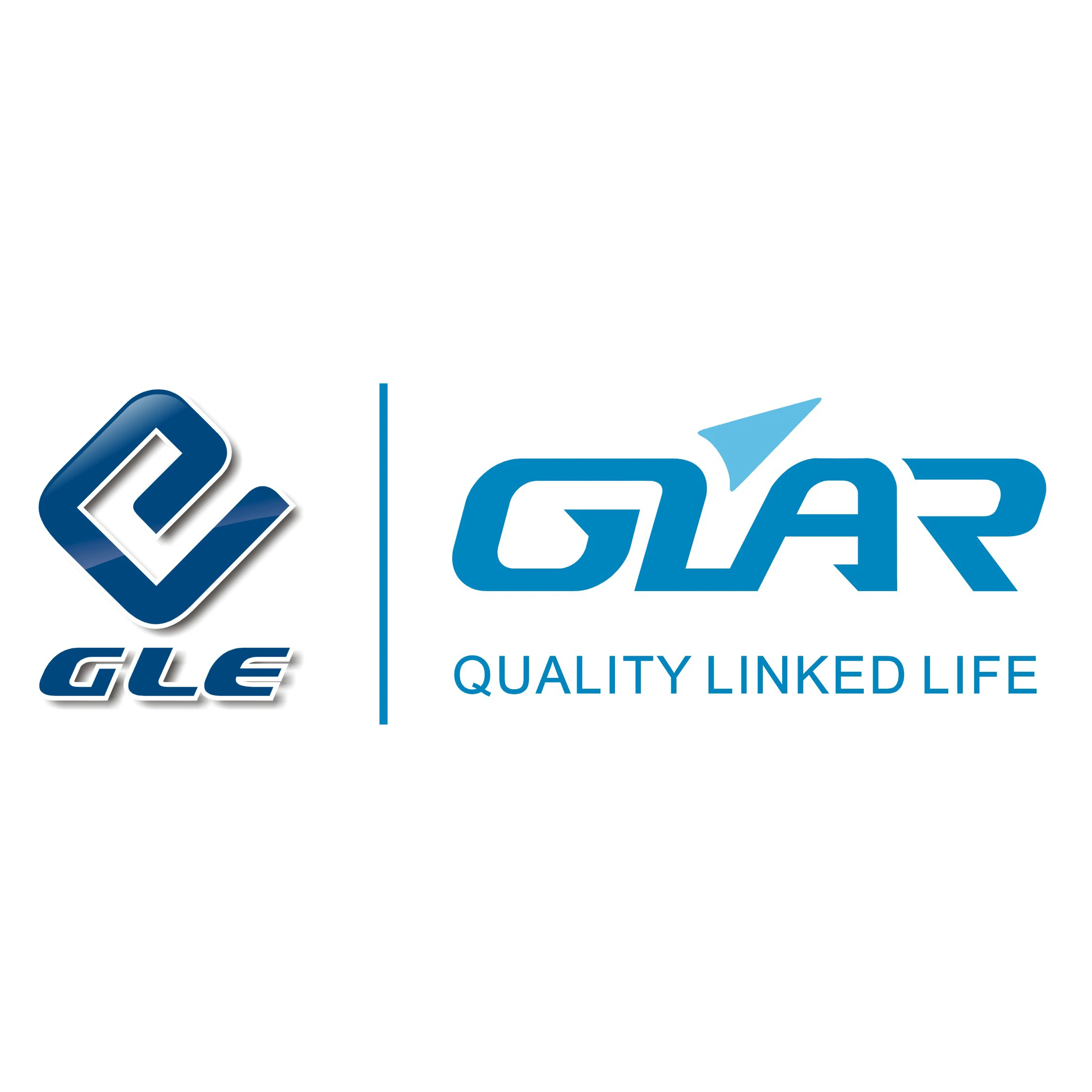 Company Overview - Shenzhen Glorious Electronics Co., Ltd.