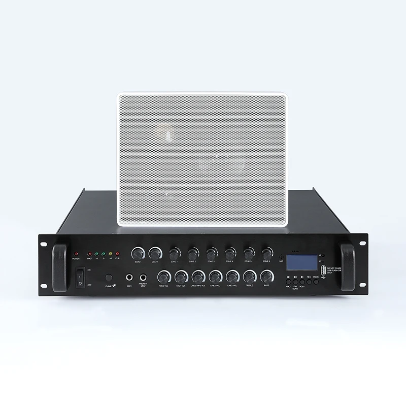 Public Address System 250w PA Power Amplifier With ECHO and DELAY ...