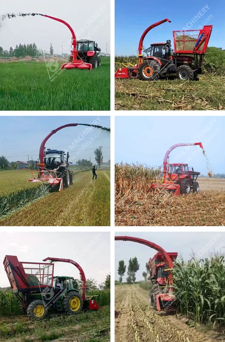Tractor Mounted Corn Pasture Forage Harvesting and Crushing Machine ...