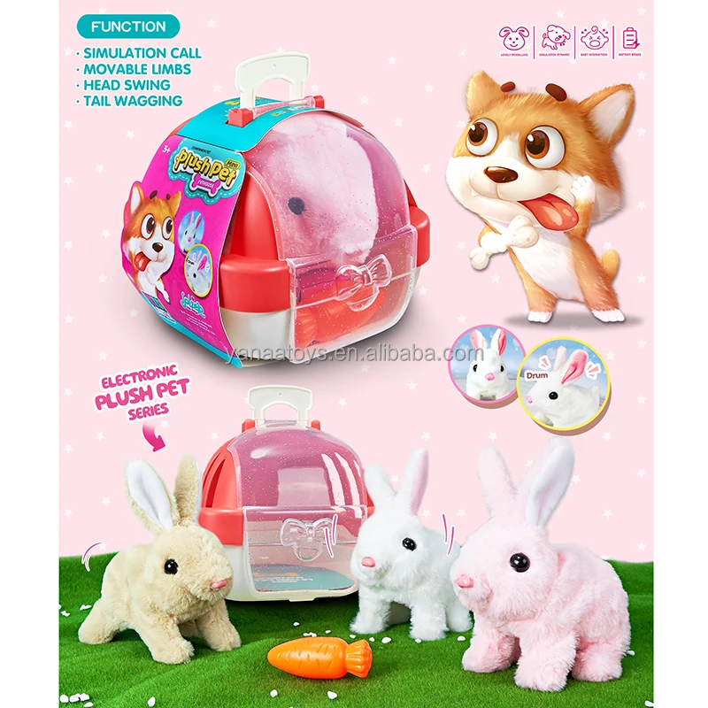 Plush Electronic Interactive Pet Rabbit With Carrot - Buy Plush ...