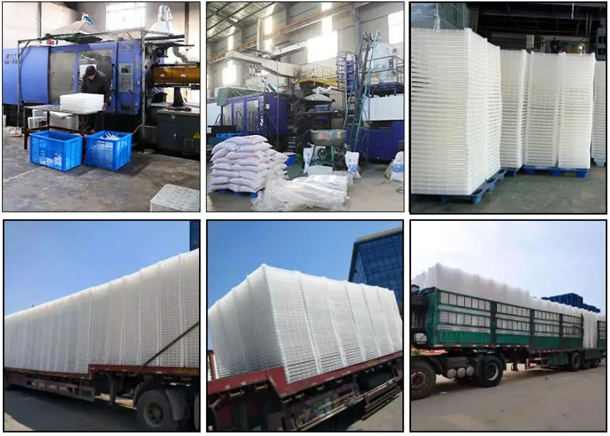 Food Grade Stackable Plastic Drying Trays Also Used For The Freezing Of ...