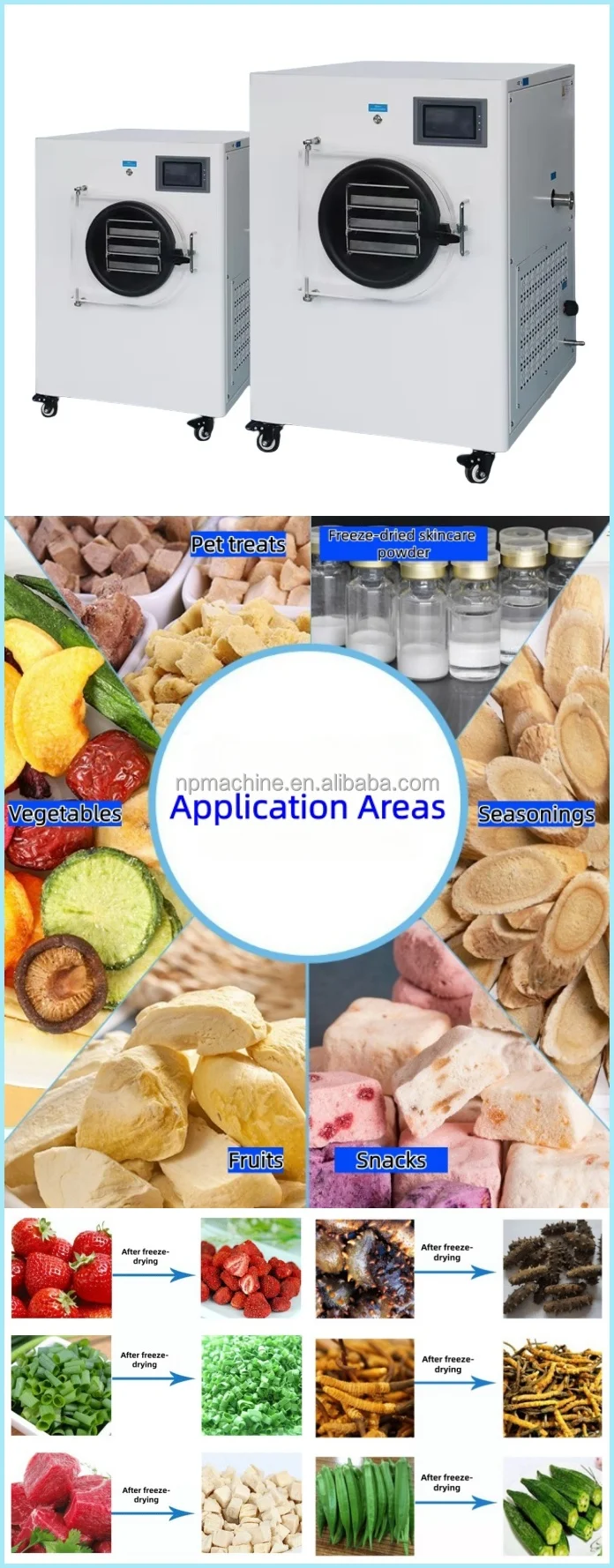 NP Brand Vacuum Freeze Drying Lyophilization Machine Vacuum Freeze ...