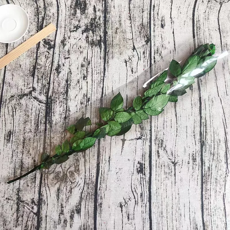 50cm Long Stem 100% Natural Eternal Rose Long Stem Real Forever ...