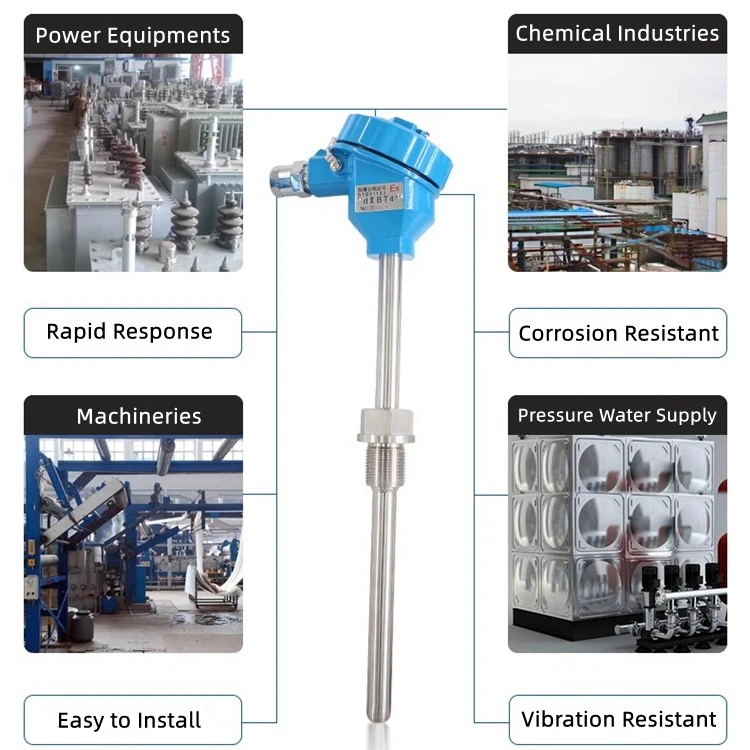 Customizable ATEX Certified RTD PT100 Temperature Sensor