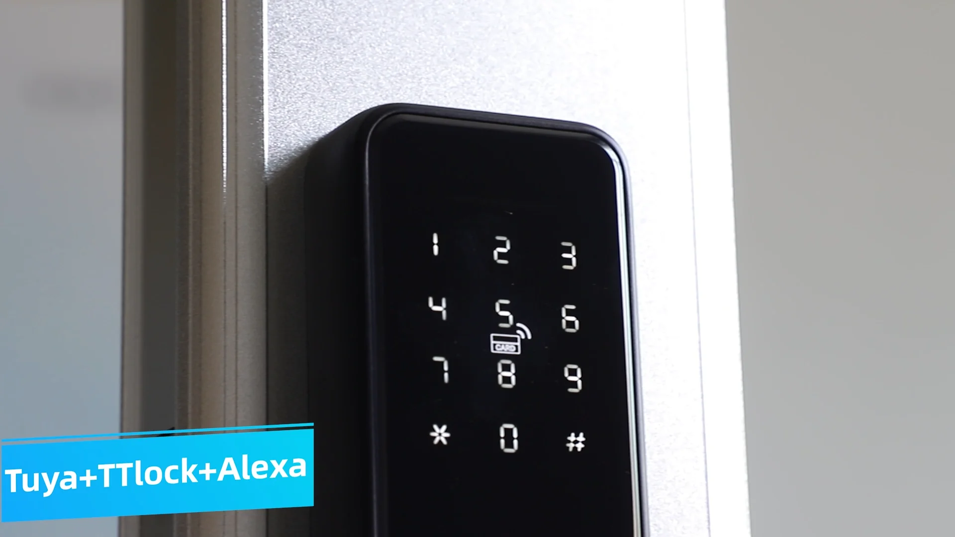 Waterproof Outdoor High Security Electric Digital Fingerprint Tuya App ...