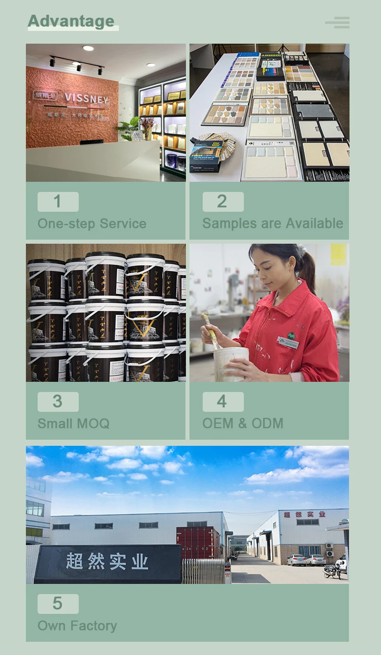 Vissney Gamazine Wall Coating - Eco-Friendly Decorative Paint