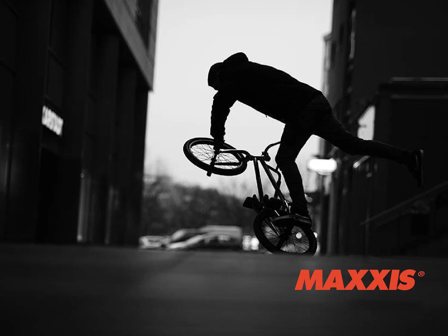 Maxxis Hookworm MTB Dirt Jump Bike Tires - Durable & Versatile