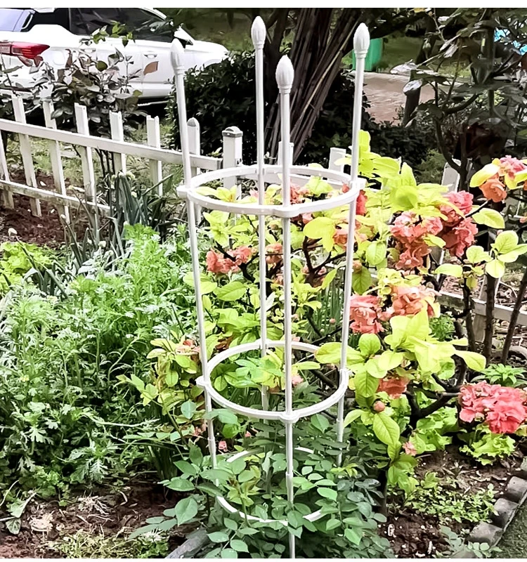 Garden Arch Lattice Plant Cage - Support for Clematis & Roses
