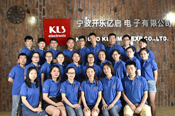 Company Overview - Ningbo KLS Electronic Co., Ltd.