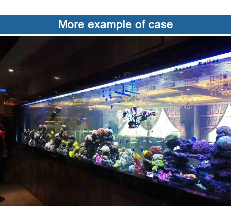 Aquarium Fish Tank White Aquariums & Accessories Acuario Bullet Screen ...