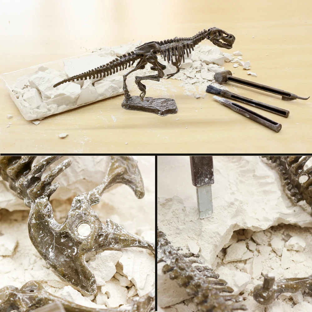 Wholesale Archaeological T-Rex Fossil Model - Dig It Out
