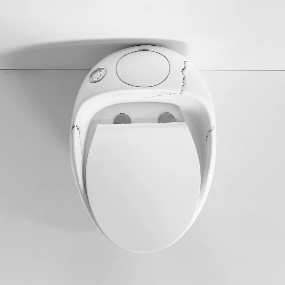 Marble White Egg Shape Wc Sanitary Ware - Dual-Flush Toilet
