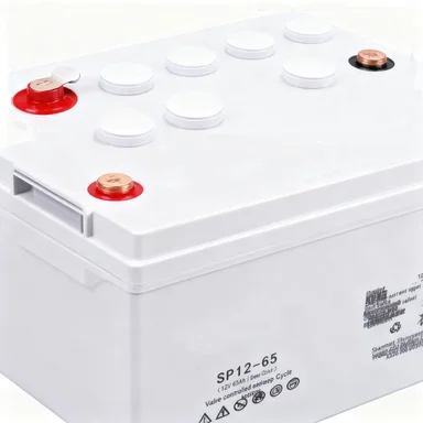12V 65Ah VRLA Deep Cycle Battery SP12-65 for Electric Power System with ...