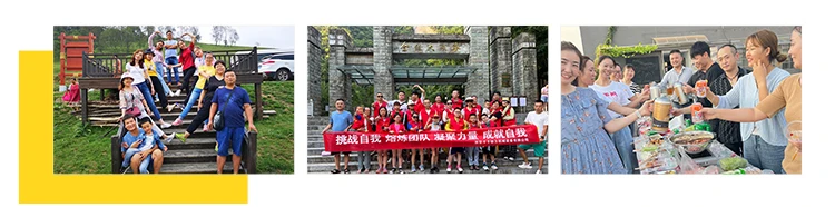 Cat Fuel Water Separator for C4.4 C7.1 D4 D5 953 963 M320 Original ...