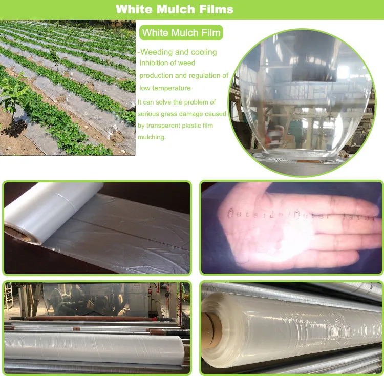 4ftx250ft Plastic Mulch Black and Silver Mulching Film Agricultural ...