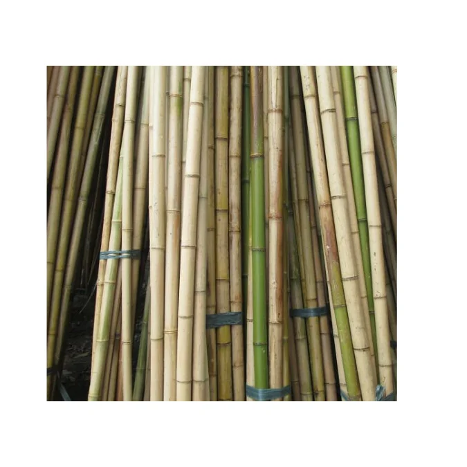 Eco - Friendly Bamboo Products Raw Bamboo Pole Cheap Price / Natural ...