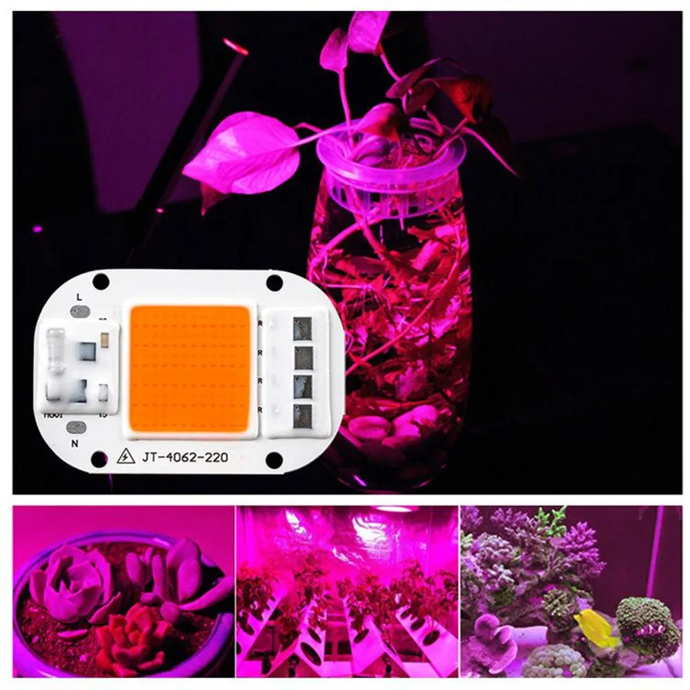 Alibaba.com: High Power 110V 220V LED Chip 20W 30W 50W COB Chip Panel ...