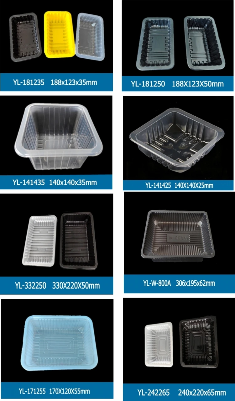 Transparent PP Plastic Blister Trays for Food Packaging