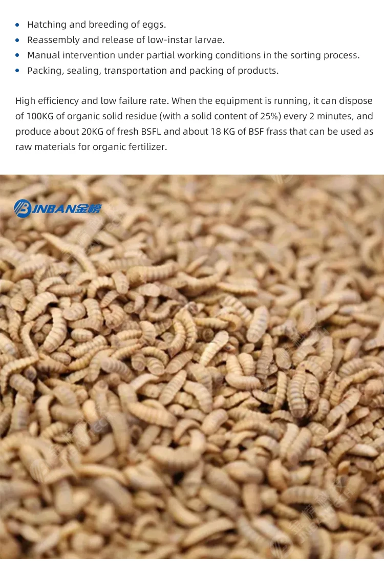 Black Soldiers Fly Kitchen Waste Processing Equipm Hermetia Illucens ...