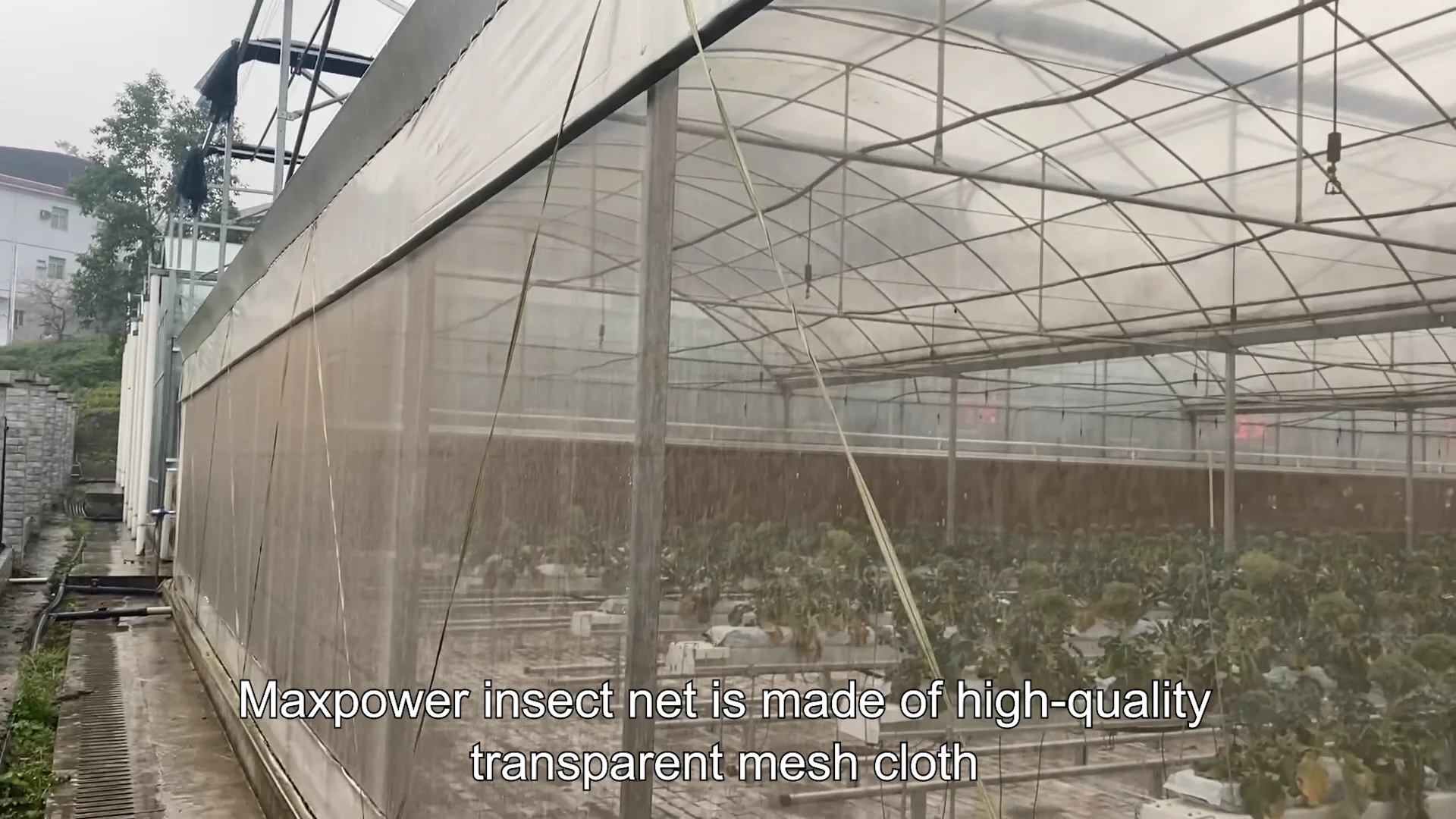 Plastic Mesh Window Screen Mosquito Net Cover - Buy Greenhouse Insect ...