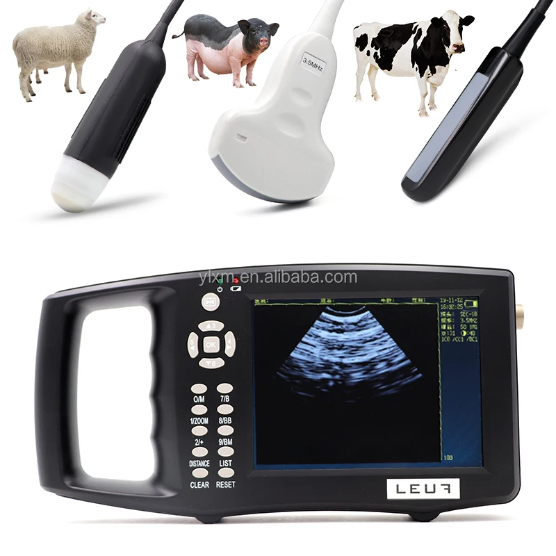 Portable Veterinary Ultrasound Scanner For Sheep Cow Pig Ultrasound ...