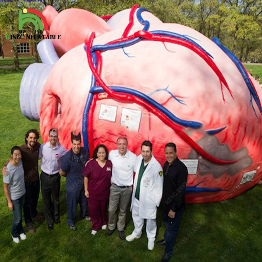 Inflatable Heart Tent - Educational Model for Medical Events