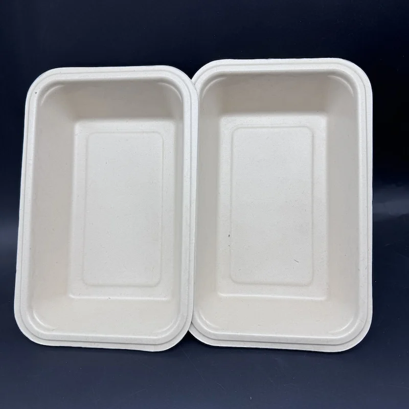 Compartments Sugarcane Pulp Trays Deep Biodegradable Compostable School ...
