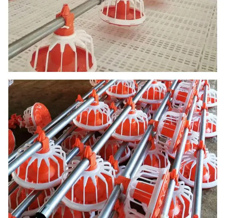 Broiler Farming Equipment Automatic Poultry Feeding Line System for ...