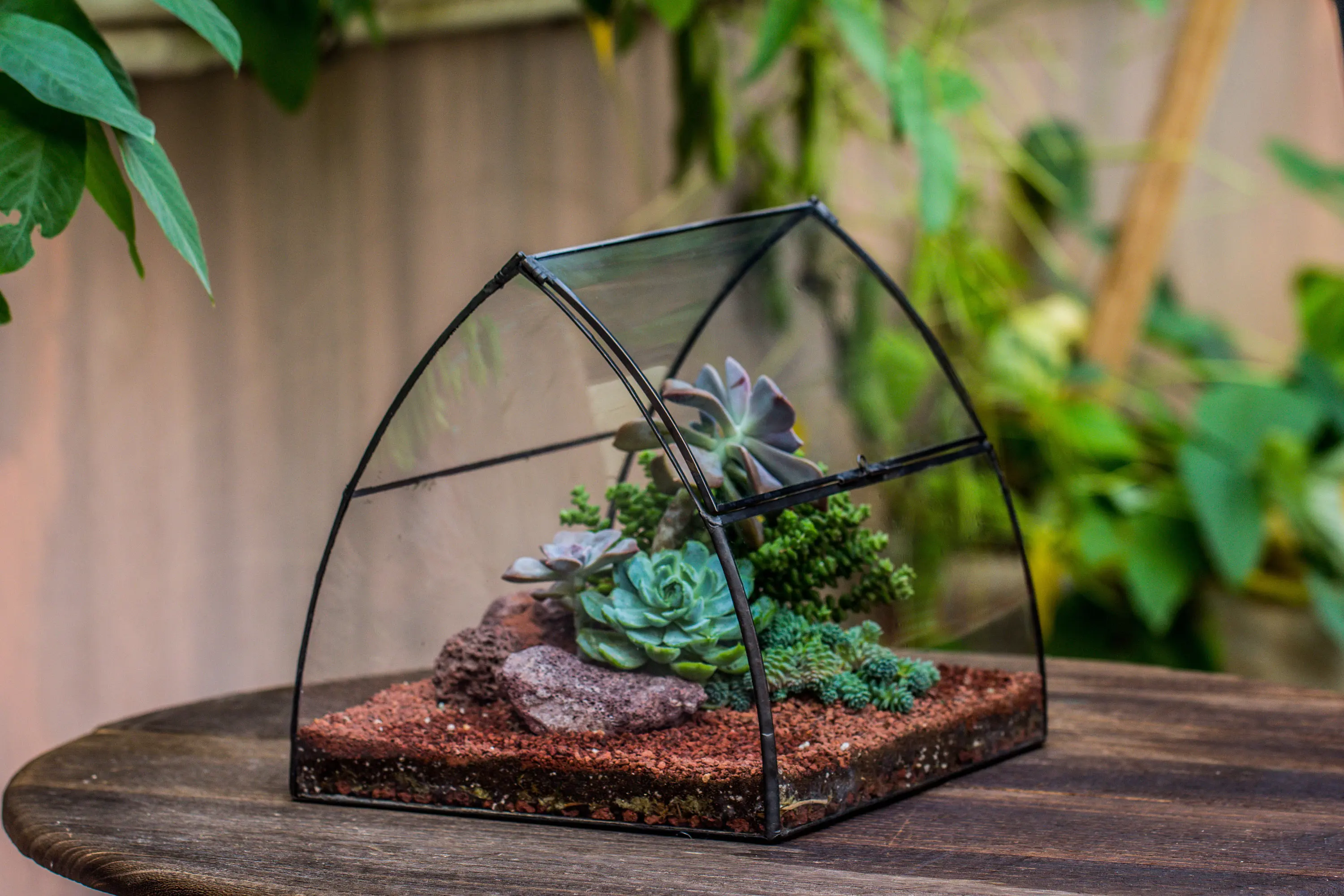 Vintage Glass Tin Closed Terrarium Acrylic Lid House Shape Arched ...