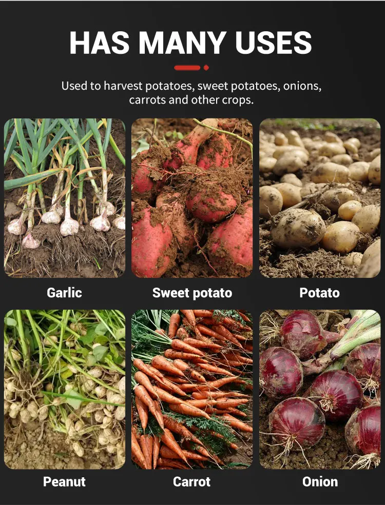 Tractor 3 Point Pto Drive Potato Digger Agricultural Single-row Mini ...