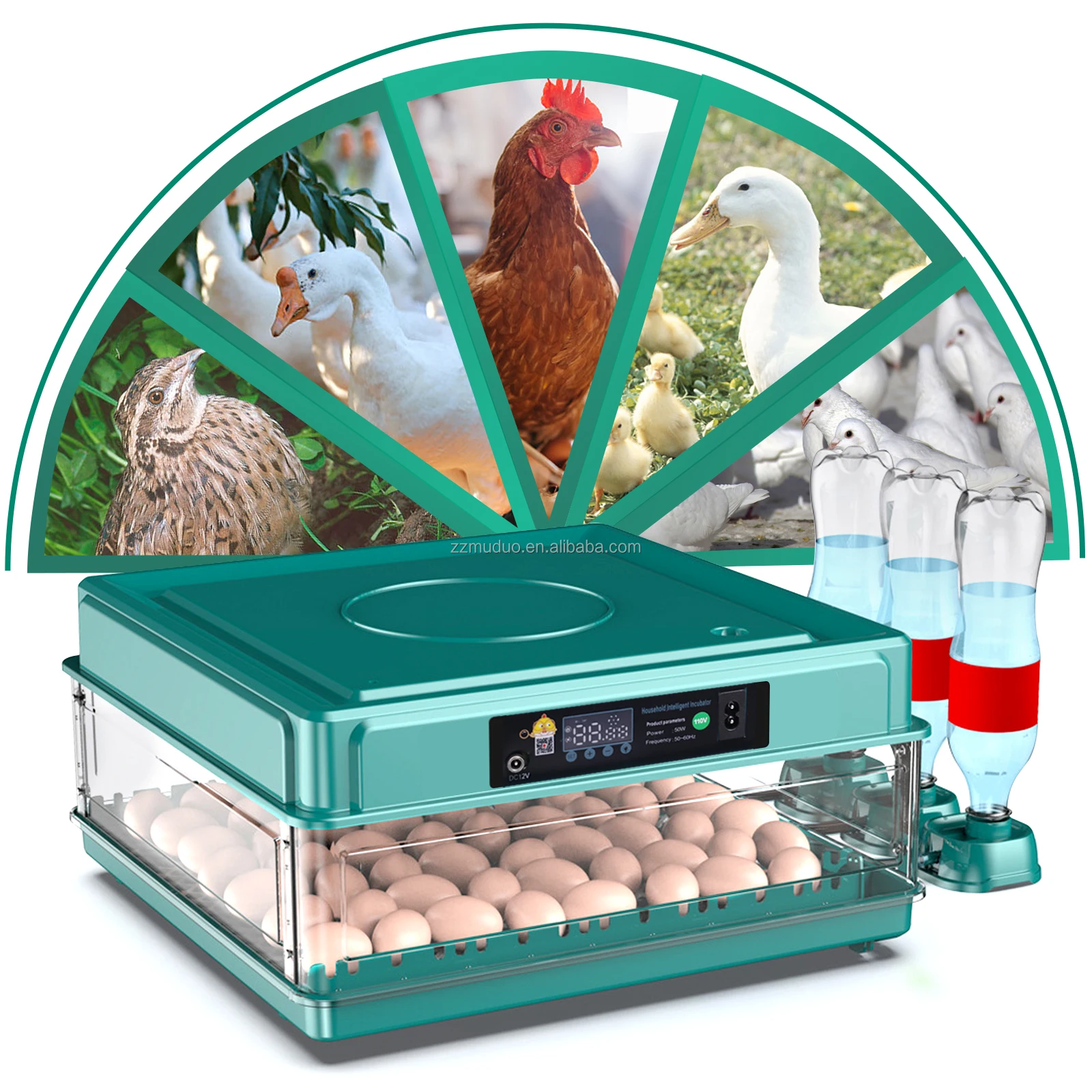 12 Eggs Chicken Incubator and Hatcher Poultry Egg Hatching Fully ...