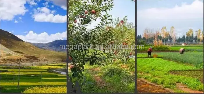 Agricultural Tiller Diesel Engine Chain Rail Power Tiller With ...