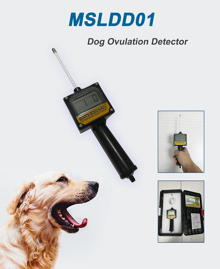Best Price Veterinary Dog Ovulation Detector - MSLDD01
